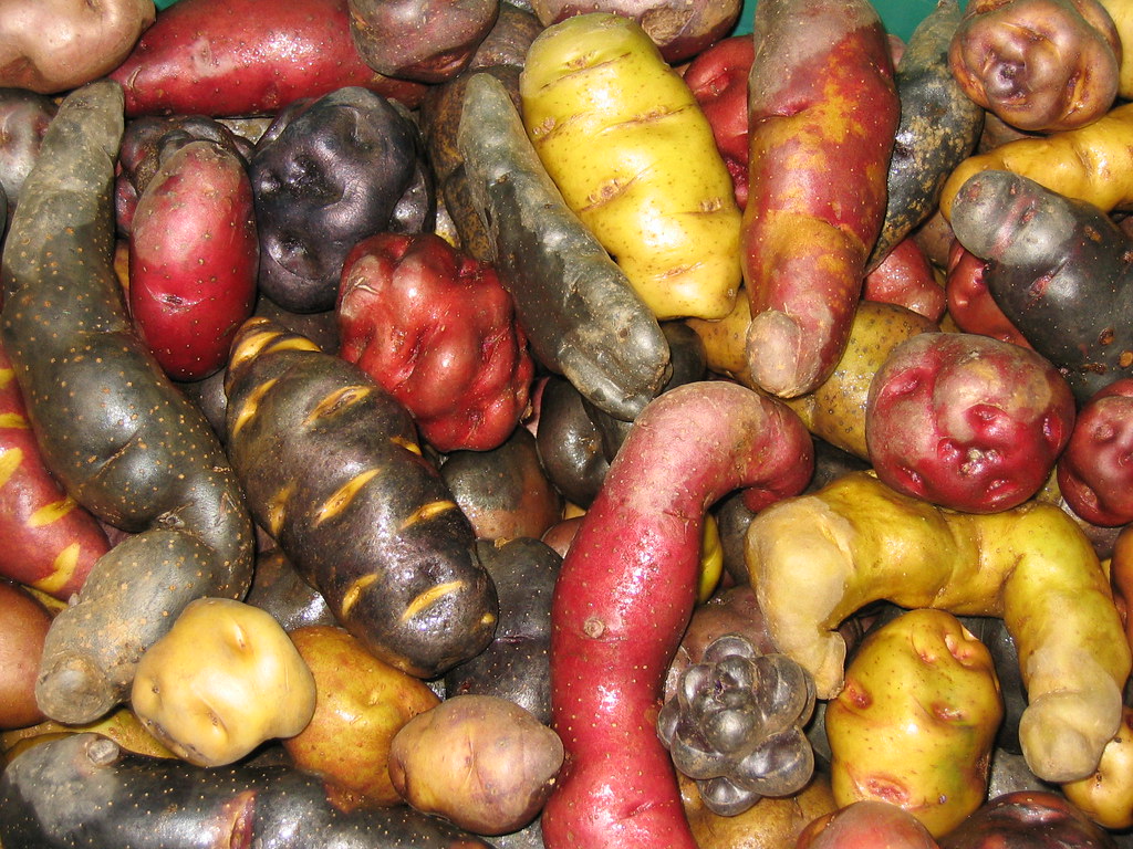 Unusual Garden Vegetables - Information Central