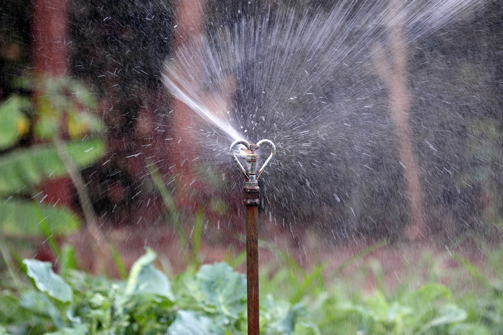 Waterwise Irrigation Audit - Information Central