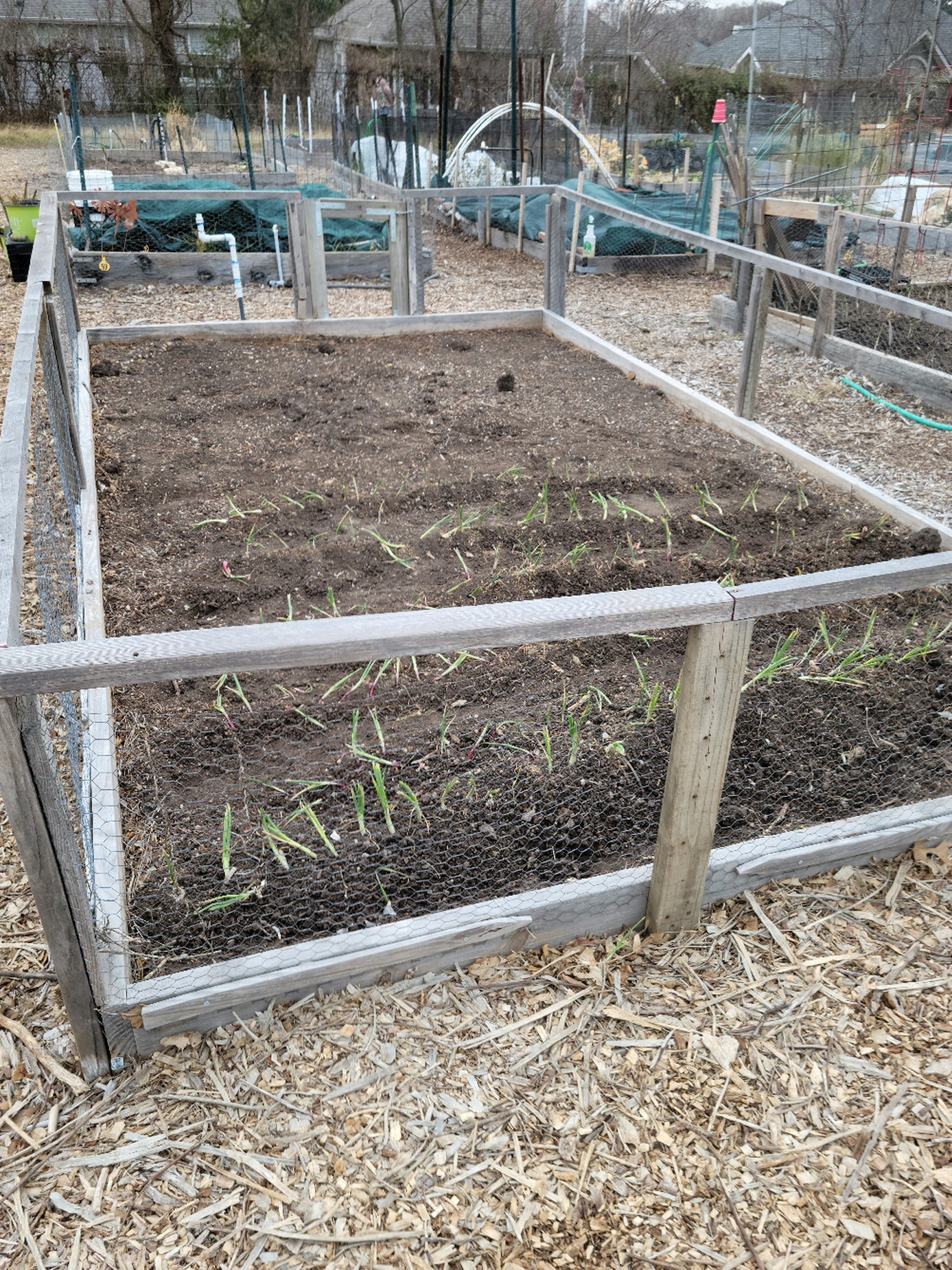 Preparing your dirt for your seeds - Information Central